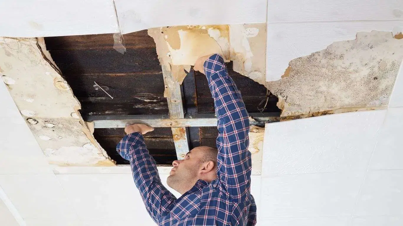 Understanding How Water Damage In Home Happens