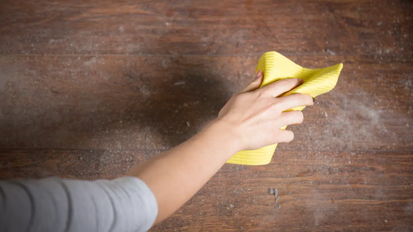 Dust vs. Mold: How to Tell the Difference - iMold